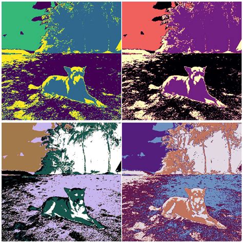 image processing with python — unsupervised learning for image