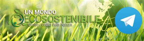 Ácido Mirístico Presencia En La Naturaleza Características Usos