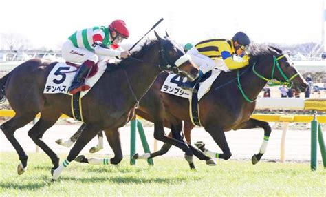 【東京6r・3歳新馬】5番人気ランプシーが初陣飾る 浜中俊騎手「抜けてくる根性をみせてくれた」 競馬ニュース Netkeiba