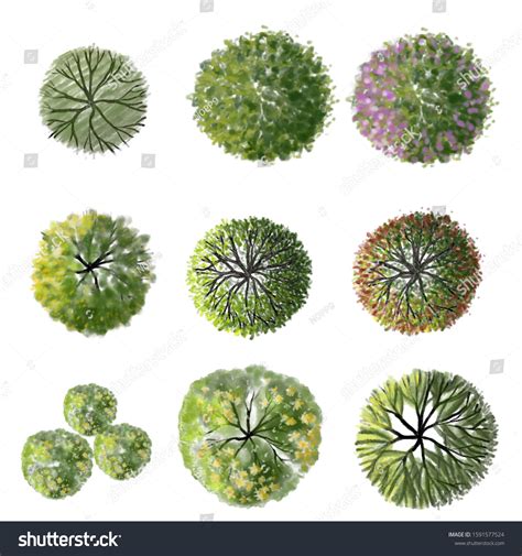 Set Watercolor Tree Top View Landscape Stock Illustration