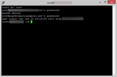 Palentino Blog Instalar Y Ejecutar Un Antivirus Remotamente En Linux