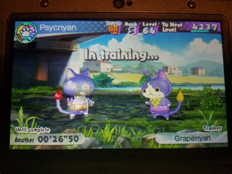 My Custom Nyan Is Learning From The Ultimate Teacher R Yokaiwatch
