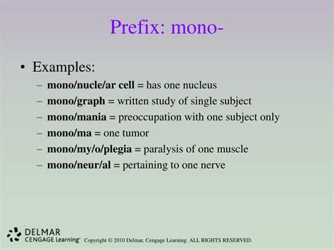 Ppt Unit 10 Powerpoint Presentation Free Download Id2972349