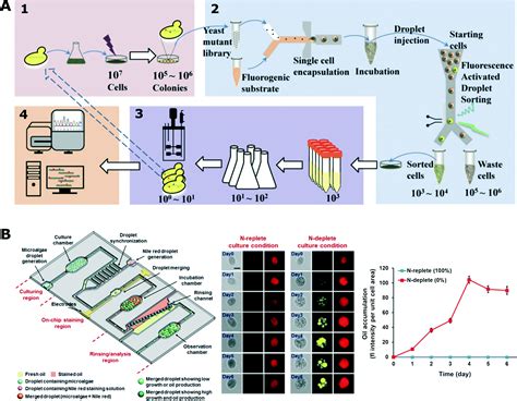 Droplet Microfluidics For Microbiology Techniques Applications And