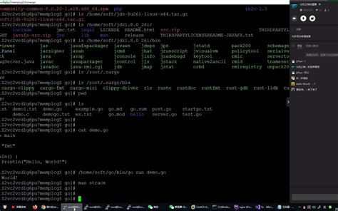 rust java php go c语言系统调用说明 哔哩哔哩 bilibili
