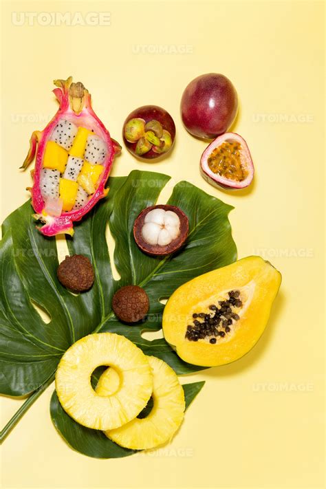 열대과일트로피칼 잎과 열대과일 모음 사진 이미지 유토이미지 상세페이지 베이직샵 사진 22144370