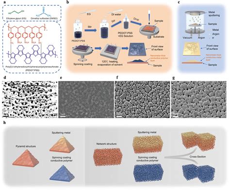 Polymer Coating Gives Electron Microscopes Enhanced 3d Vision