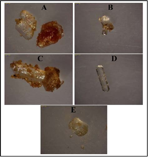 translucent pseudo hexagonal carnallite crystals sometimes partly download scientific diagram