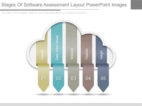 Stages Of Software Assessment Layout Powerpoint Images