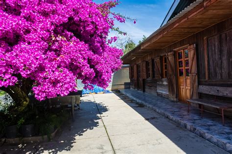 색종이 조각 길가 빨간색 Pixabay의 무료 사진 Pixabay