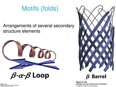 Ppt Chapter 4 Proteins Structure Function Folding Powerpoint