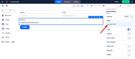 Section Field Setup In Bit Form Bit Form
