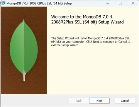 Integrating Mulesoft And Mongodb To Unleash Data Potential