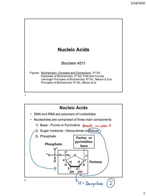 Chapter 4 Nucleic Acids Nucleic Acids Biochem 4511 Figures