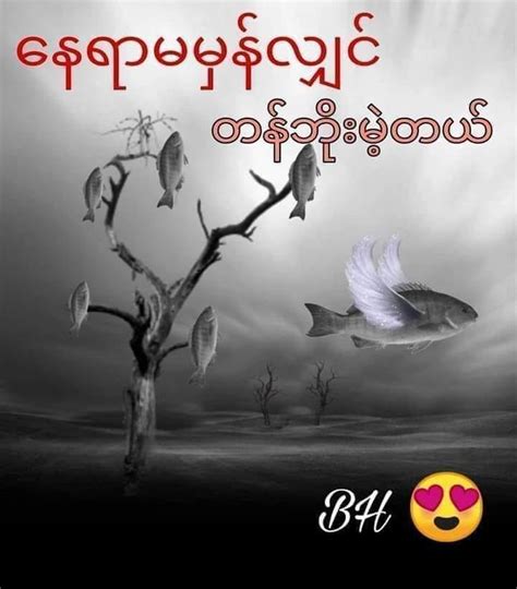 မလေးရှားရောက် ရွှေမြန်မာ ညီကိုတိုင်းရင်သားများဆုံစည်းရာ