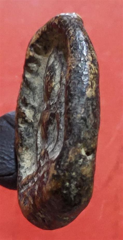 พระซุ้มกอ พิมพ์พัดโบก กรุเก่าทุ่งเศรษฐี กำแพงเพชร Ennxo