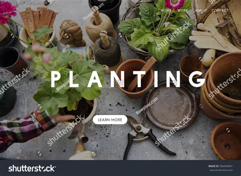 Planting Word On Plants Background Stock Photo 596404841 Shutterstock