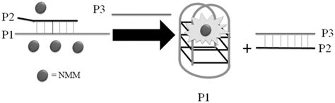 Luminescent Switch On Detection Of Dna Based On The Analyte Induced