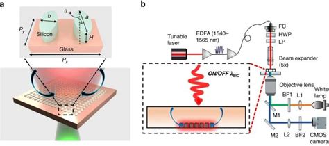 Light Enhancement In Nanoscale Structures Could Aid Cancer Detection