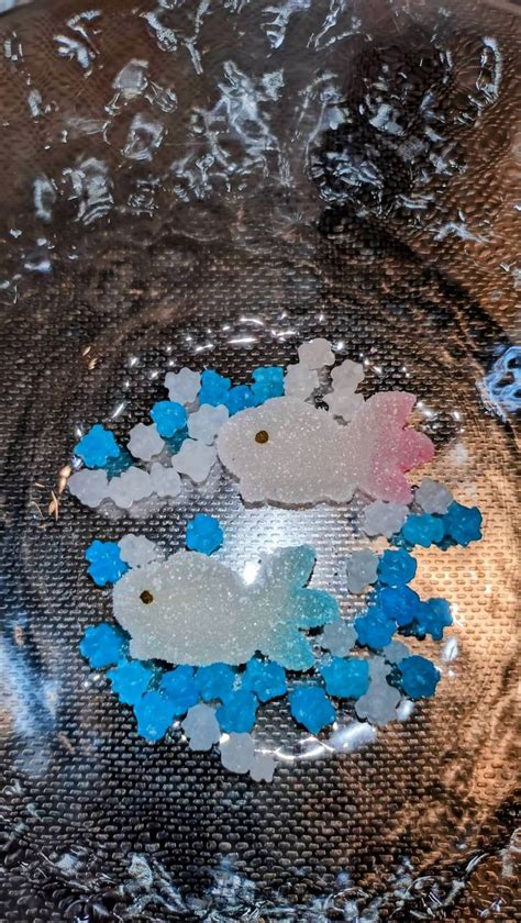 和菓子屋さんで見つけた金魚のゼリー菓子と 長野県松本市 あんこ大好き ウェザーニュース