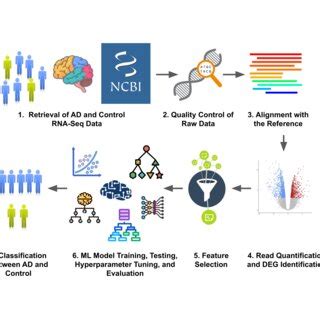 Workflow Of The Study RNA Seq Data Of AD And Control Was Retrieved