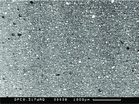 Sem Bei Micrograph Of Hardened Opc Paste Hydrated For 7 Days Where