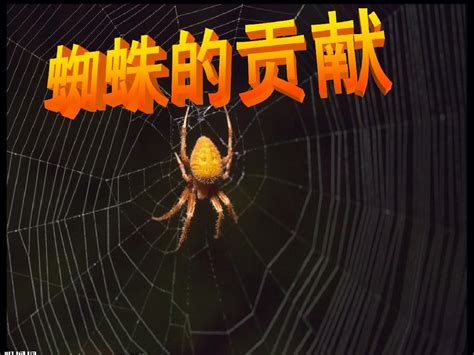 北师 数学八上 第三章知识点总结 word文档在线阅读与下载 无忧文档