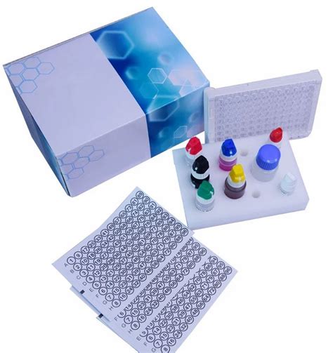 Biogenix Measles Igm Elisa Kit At ₹ 21450 Kit In Lucknow Id 2852007380412