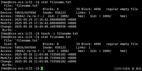 linux基本命令篇 —— touch命令 linux touch csdn博客