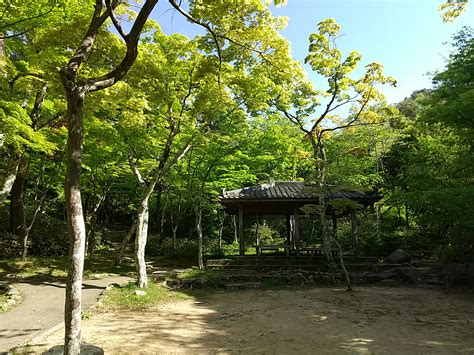 瑞宝寺公園 神戸 まちガイド