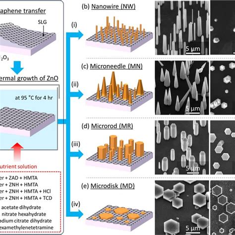 Optical Properties Of Remote Epitaxial Zno Crystalsslggan A Download Scientific Diagram