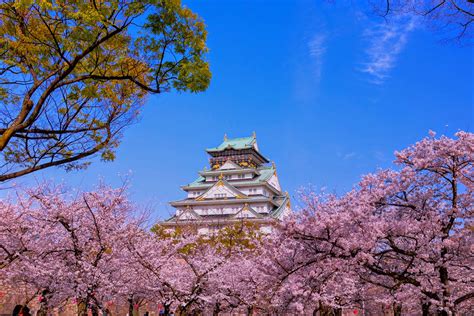 Secrets Of Osaka Castle