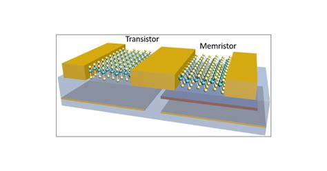 Two Terminal Mos2 Memristor And The Homogeneous Integration With A Mos2 Transistor For Neural