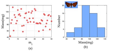Statistical Results Of The Mass Measurement Of The Captured Insects Download Scientific