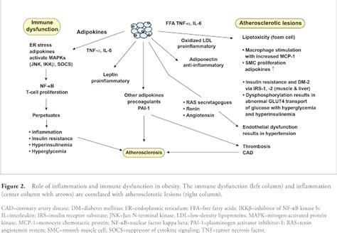 Obesitas Etiologi Sampai Terapi