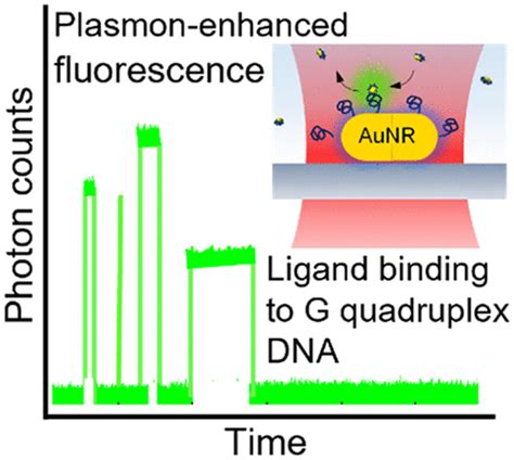 Use Of Single Molecule Plasmon Enhanced Fluorescence To Investigate Ligand Binding To G