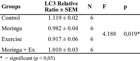 LC3 Relative Ratio After Treatments Download Scientific Diagram