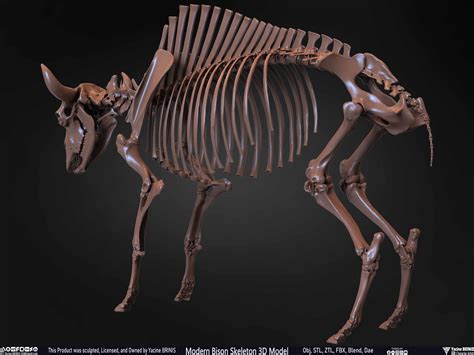 modern bison skeleton 3d model zbrushcentral