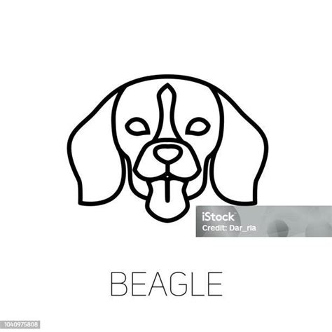비글 개 혀입니다 개 품종 선형 얼굴 아이콘입니다 격리 된 벡터 라인 개 머리 개에 대한 스톡 벡터 아트 및 기타 이미지 개