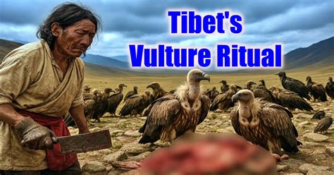 Sky Burials Science Spirit And Reality Of Tibets Ritual
