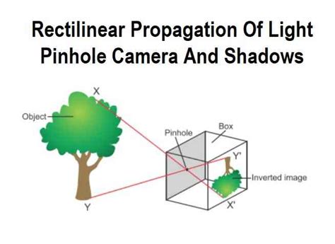 Rectilinear Propagation Of Light Icse Class 6th Goyal Brothers Physics