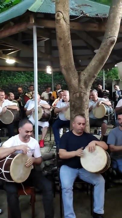 ჯეო არტის მორიგი მუსიკოსების შეხვედრა ქ ბათუმში უკრავს 20 გარმონი და