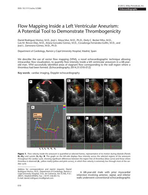 Pdf Flow Mapping Inside A Left Ventricular Aneurism A Potential Tool