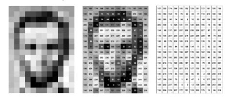 Understanding Images With Skimage Python Rdeeplearning