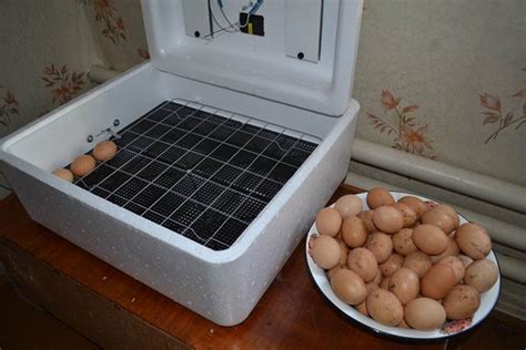 Инкубатор для индюков своими руками