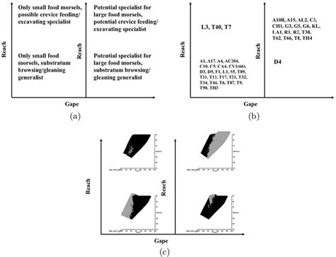 Heat Map Over Ordination Of Reviewed Astigmatid Species For Life Download Scientific Diagram