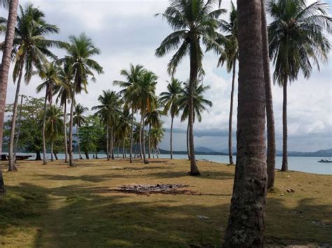 Sidanao Beach Resort Palawan ₱50 Phvacations