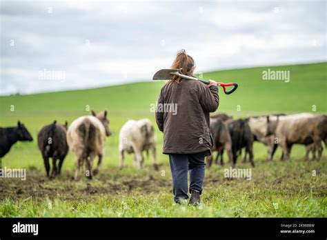 Female Farmer Testing Soil On A Farm Stock Photo Alamy