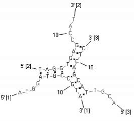 A Structure Drawing For Input Data Format 1 B Structure Drawing Download Scientific