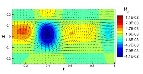 spatial structure of developed finite amplitude convection flow